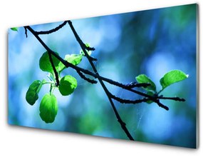 Obraz na skle Větev Listy Rostlina Příroda 125x50 cm