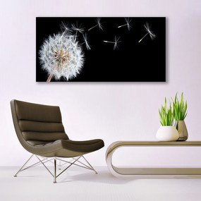 akrylový obraz Pampeliška Květiny Příroda 120x60 cm