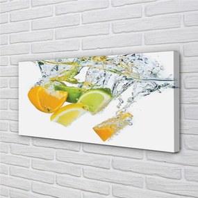 Obrazy na plátně voda citrus 100x50 cm