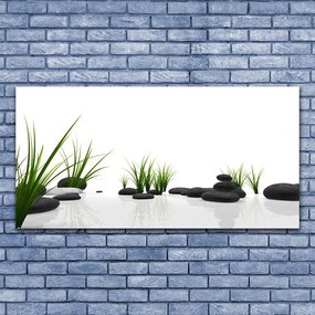 akrylový obraz Kameny Tráva Umění 120x60 cm