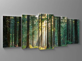 Liox Obraz tichý les Rozměr: 250 x 110 cm