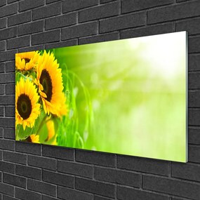 Obraz na skle Slunečníce Rostlina 125x50 cm
