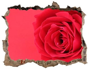Wallmuralia Díra 3D fototapeta na stěnu Červená růže 95x64 cm