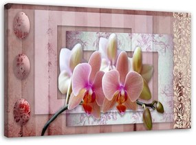 Obraz na plátně Orchidej Růžový květ - 60x40 cm