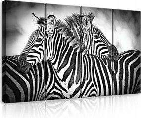 Obraz 120x80 Zebra monochromatický divoká příroda Afrika pruhy zvířata