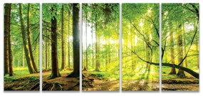 Malvis ® Obraz slunce v lese Velikost (šířka x výška): pětidílný obdélník - 100x45 cm