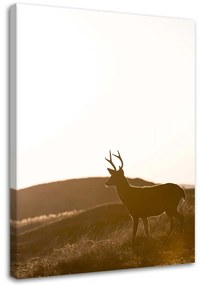 Gario Obraz na plátně Mladý jelen Rozměry: 40 x 60 cm