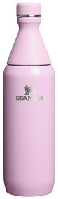 Růžová termoláhev z nerezové oceli 600 ml All Day Slim Bottle Cherry Blossom Gloss – Stanley