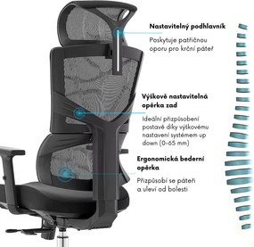 Kancelářská ergonomická židle Neoseat ALINE — černá, nosnost 150 kg