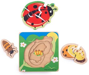 Bigjigs Toys Vkládací puzzle životní cykly berušky
