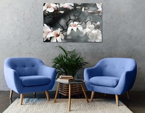 Obraz probouzející se magnolie - 120x80 cm