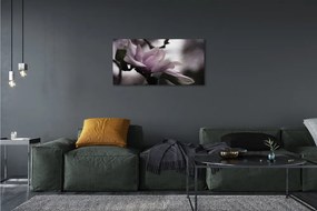 Obrazy na plátně Magnólie 140x70 cm