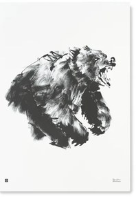 Teemu Järvi Plakát s motivem medvěda Roaring bear 50x70