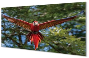 akrylový obraz ara papoušek 140x70 cm