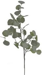 větvička eukalyptus - zelenošedá
