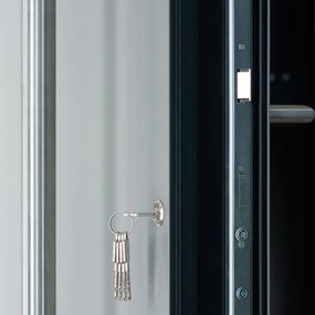 Hliníkové vchodové dveře FM Turen Premium P90 M212 šedá/bílá RAL9007/9016 Orientace dveří: Levé, otevírání dovnitř, Standardní rozměr dveří včetně rámu: 100 cm x 200 cm - vnější rozměr rámu