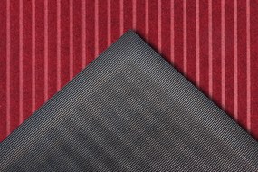 Hanse Home Collection koberce Rohožka Mix Mats Striped 105649 Red ROZMĚR: 80x120