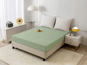 Prostěradlo z mikrovlákna MICROVELLE světle zelené 90x200 cm