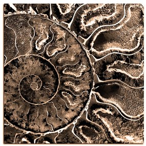 Obraz na plátně - Textura fosílie - čtverec 3174FA (50x50 cm)