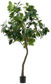 Umělá květina Kave Home Ficus 210 cm