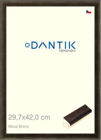 DANTIK rámeček 29,7x42 | Mosa bronz (Plexi Čiré)