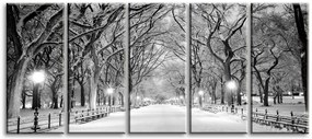 Obraz Central Park Velikost (šířka x výška): 100x45 cm
