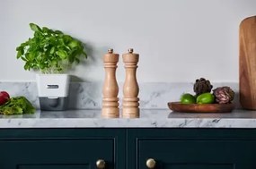ColeMason London Natural Beech / Mlýnky na sůl a pepř / dárková sada /