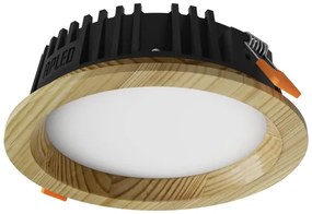 APLED - LED Podhledové RONDO WOODLINE LED/6W/230V 4000K pr. 15 cm borovice masiv