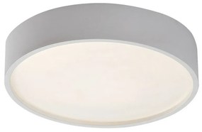 Rabalux 75012 stropní LED svítidlo Larcia, 19 W, stříbrná