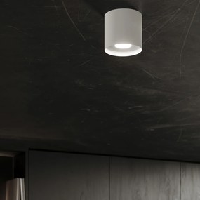 Sollux Lighting Stropní svítidlo MIKA bílé