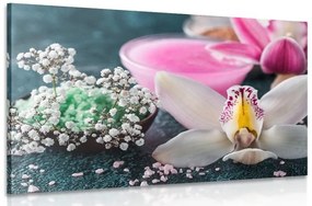 Obraz nádherná detailní orchidej - 60x40 cm