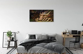Obrazy na plátně Forest dračí hlava dívky 100x50 cm