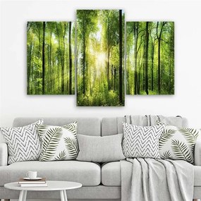 Gario Obraz na plátně Sluneční paprsky v zeleném lese - 3 dílný Rozměry: 60 x 40 cm