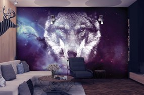 Malvis Tapeta vesmírný vlk Vel. (šířka x výška): 288 x 200 cm