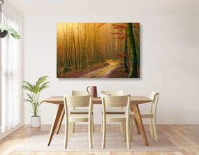 Obraz cestička do lesa - 60x40 cm