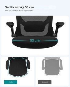 Kancelářská židle ERGO se sklopnými područkami, max. 120 kg, černá SongmicsHome