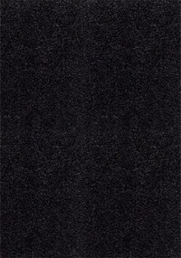 Vopi | Kusový koberec Dream Shaggy 4000 černý - 120 x 170 cm