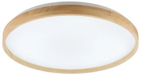Brilliant - LED Stmívatelné stropní svítidlo ALSON LED/21W/230V béžová + DO