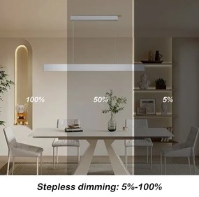 Brilagi - LED Stmív. lustr na lanku SLIMLINE LED/40W/230V 3000-6000K stříbrná+DO