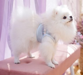 OH Charlie Postroj pro psy Aurora Blue Velikost: M