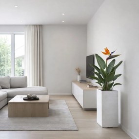 Sada 2 ks květináčů BETONIQUE 30x30/30x60 cm - výběr z 4 provedení