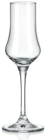 RONA UNIVERSAL SKLENICE NA GRAPPU 100ML SADA 6KS