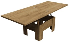Konferenční stolek Erno (dub ribbeck). 1055419