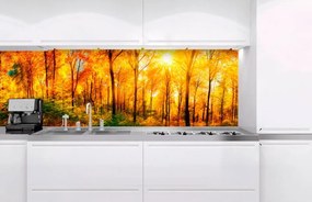 Samolepící fototapeta do kuchyně - Prosluněný les, 180x60cm, 084