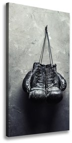 Wallmuralia Vertikální Foto obraz na plátně Boxerské rukavice 50x100