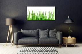 akrylový obraz Tráva Rostlina Příroda 100x50 cm