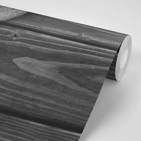 Samolepící fototapeta černobílé kameny na dřevě