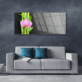 akrylový obraz Bambus Stonke Květ Rostlina 125x50 cm