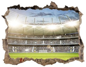 Wallmuralia Samolepící díra na stěnu nálepka Stadion 95x64 cm