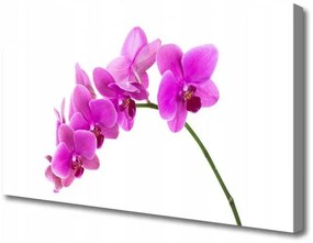 Obraz na plátně - Orchidei růžová 120 x 60 cm